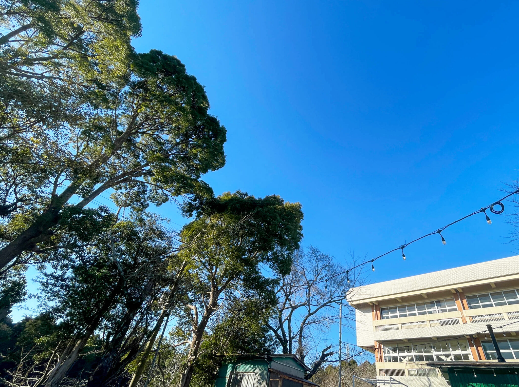 大人数でワイワイサウナ！廃校キャンプ場「CAMPiece横芝光」で薪サウナ×水上外気浴体験！ | ご当地サウナ委員会